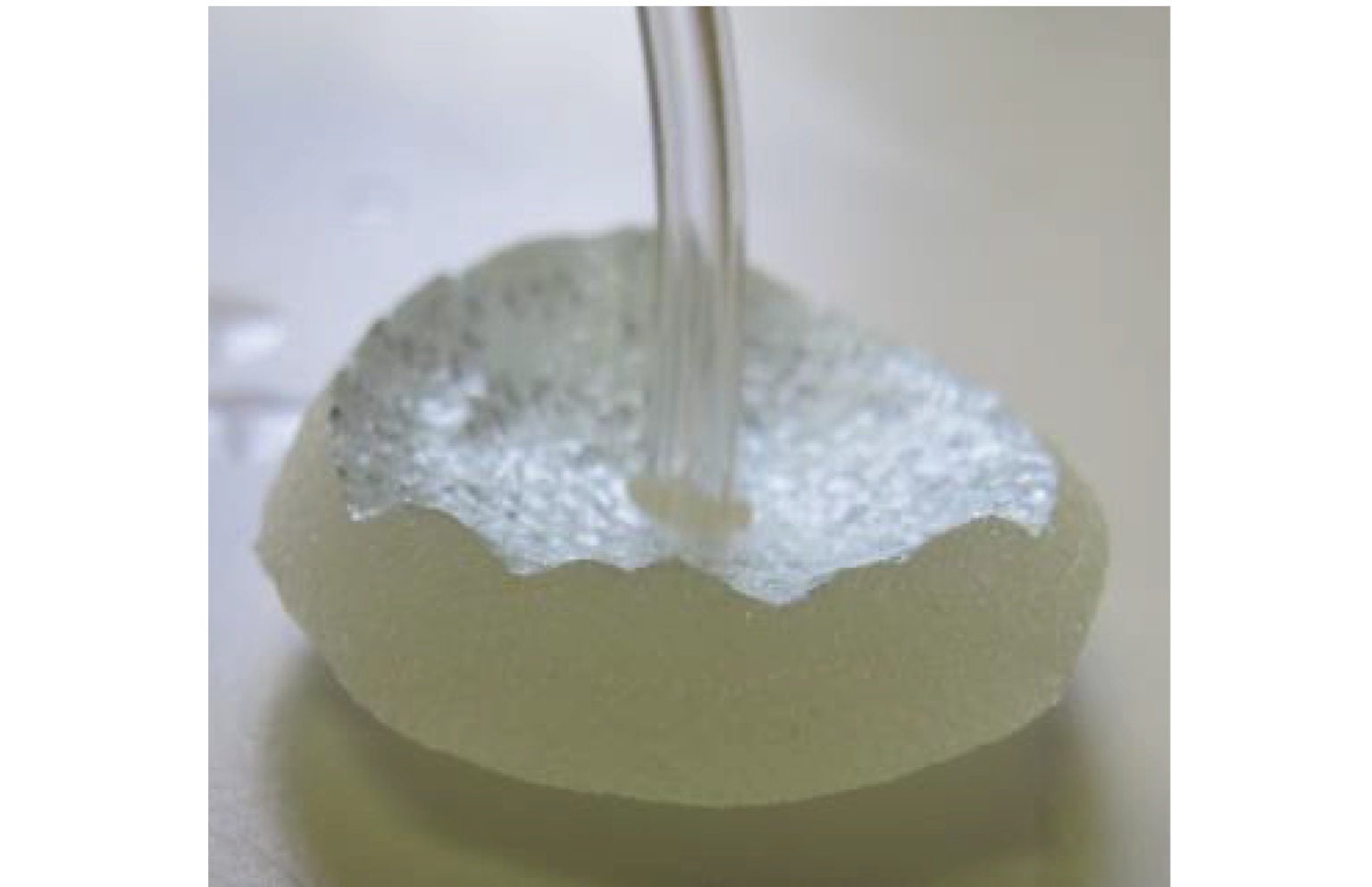 Aegis CHG-Impregnated Foam Disc Dressing | Medline Industries, Inc.